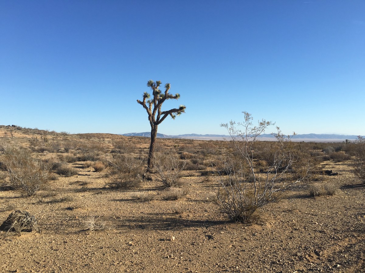 1 Album A Day – crash course for the ravers – 1 album a day